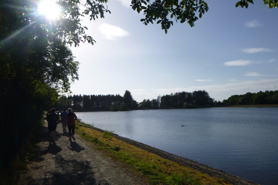 Round the reservoir | rat | Blipfoto