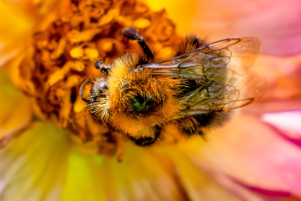 Sunday at home | otornblom | Blipfoto