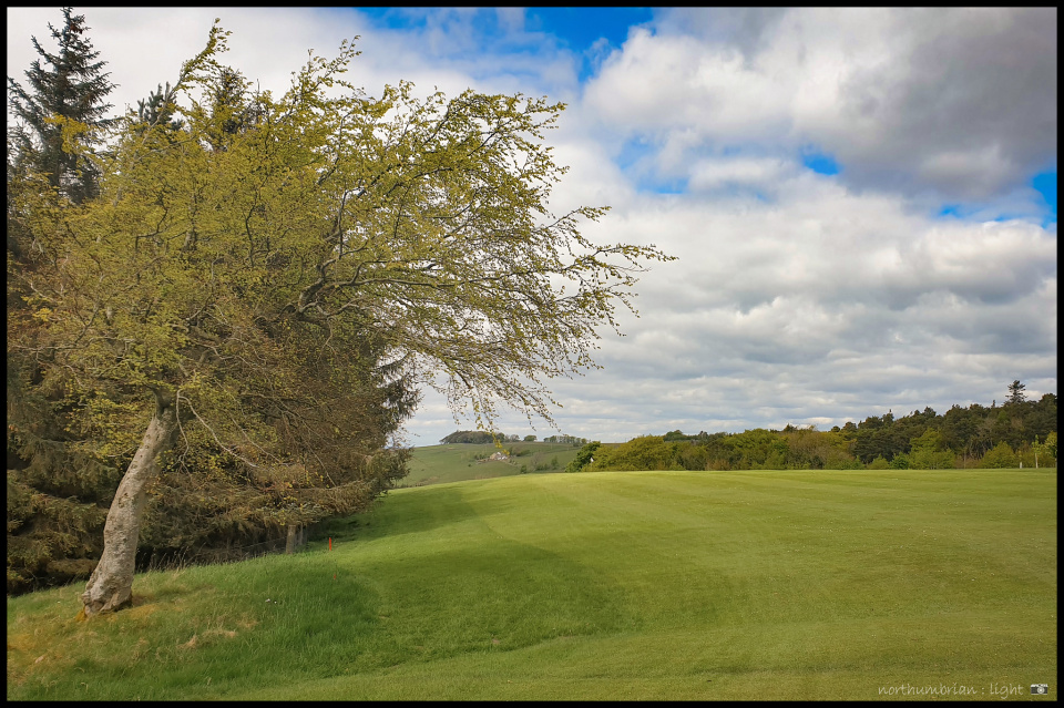 Allendale Golf Course ... | RobinDown | Blipfoto