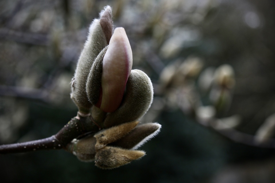 Not tiny | Jaybay | Blipfoto