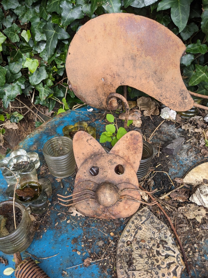 Top Cat | BernardYoung | Blipfoto