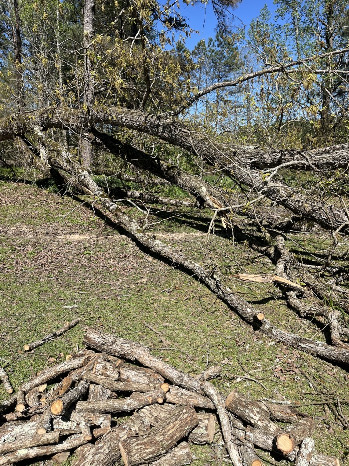 Rain and wind | loveeveryminute | Blipfoto