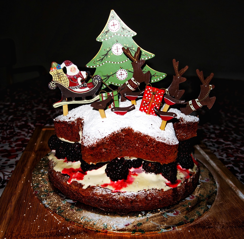 Christmas Cake | Tweedy | Blipfoto