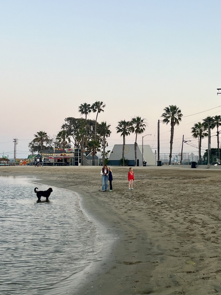 An evening walk on the beach | cwrwcroyw | Blipfoto