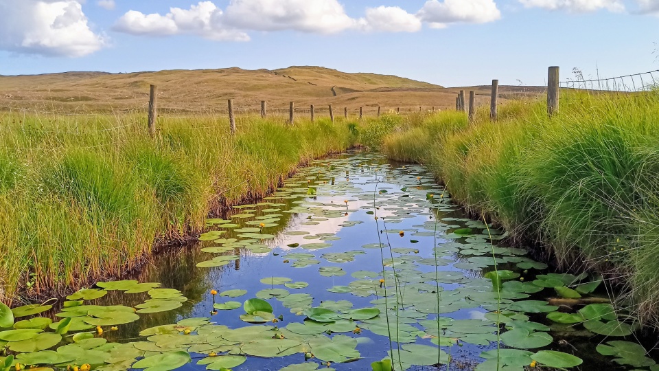 Skeggles Water Dyke | ricky_p | Blipfoto