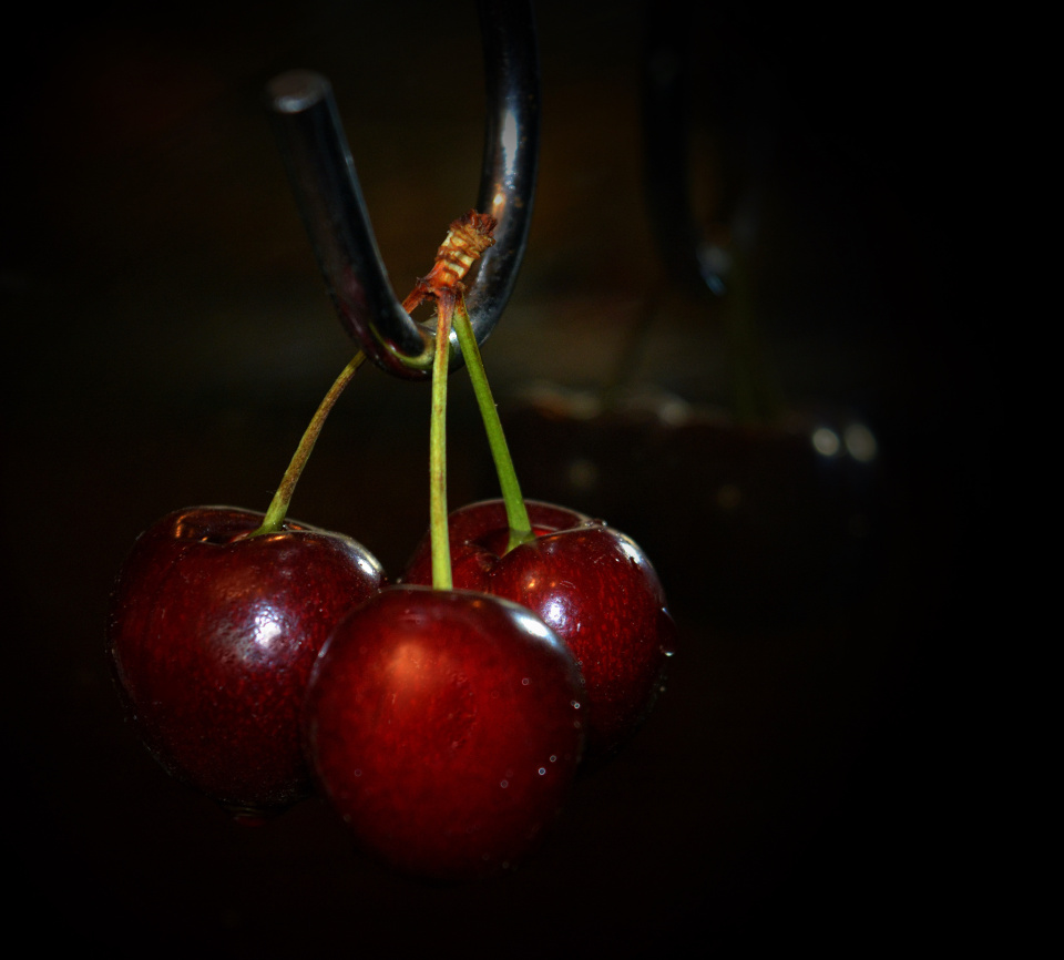 Hooked on You | mambo | Blipfoto