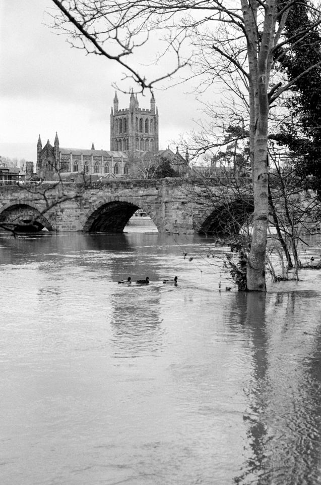 Old Bridge | BobsBlipsExtras | Blipfoto