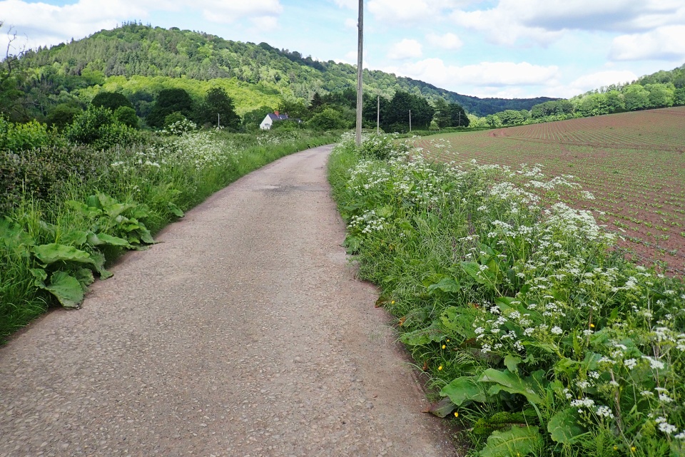 Cycling | BobsBlips | Blipfoto