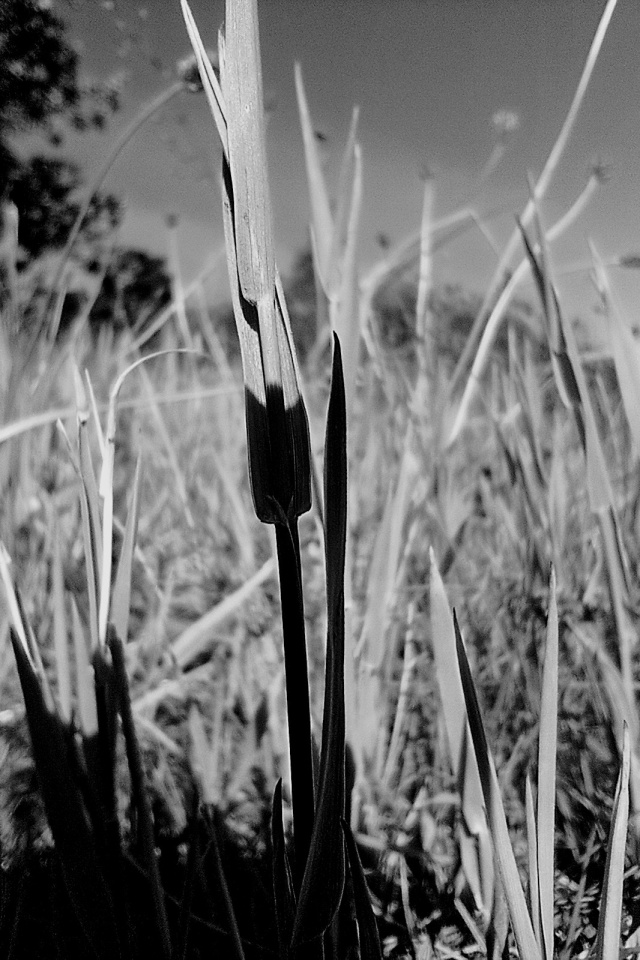 Appointments | middleman | Blipfoto