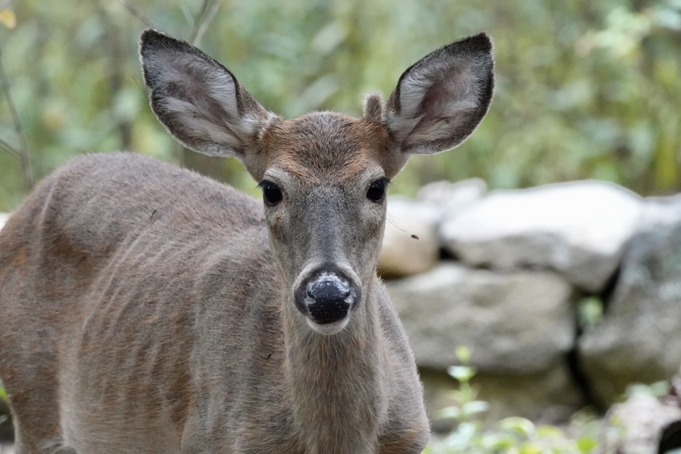 This Little Guy | Kimb | Blipfoto