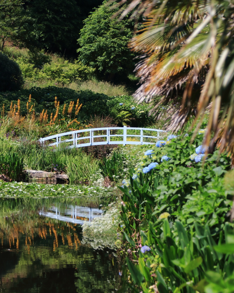 Bridge over a pond | PhotoPete | Blipfoto