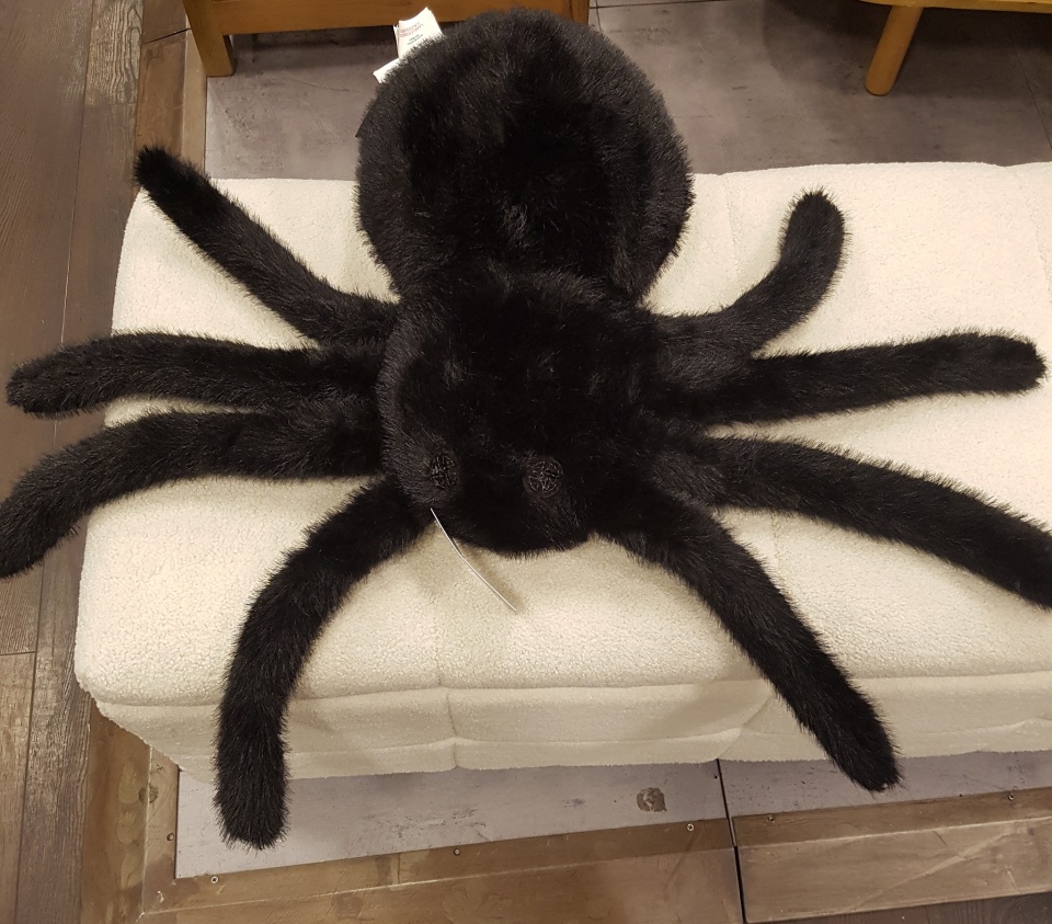 Cuddly spider | Redberry | Blipfoto