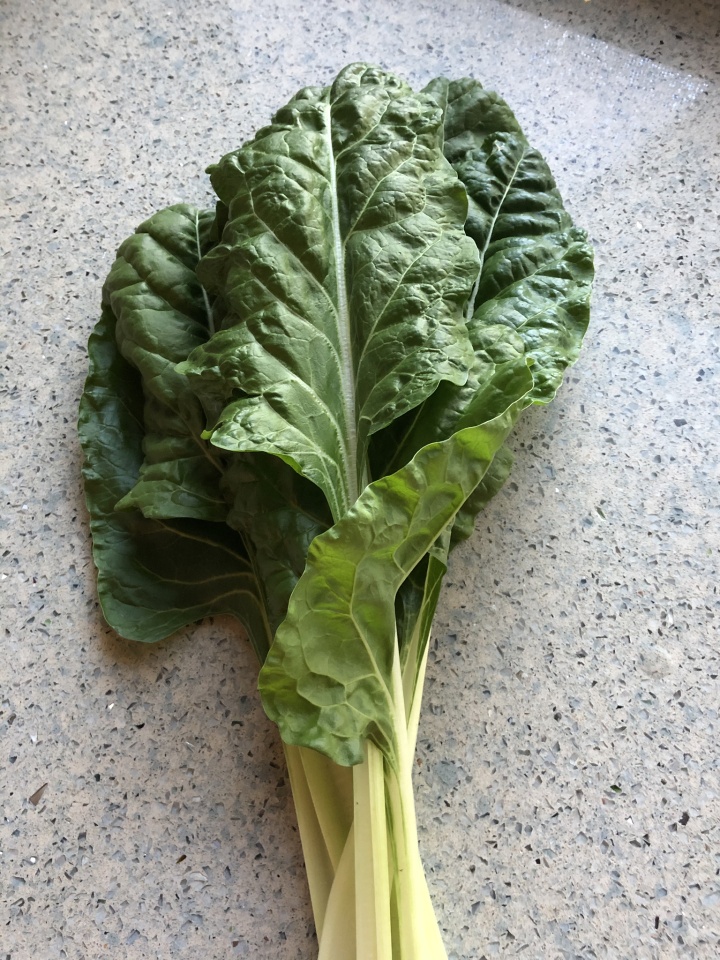 Silver beet. | 59 | Blipfoto