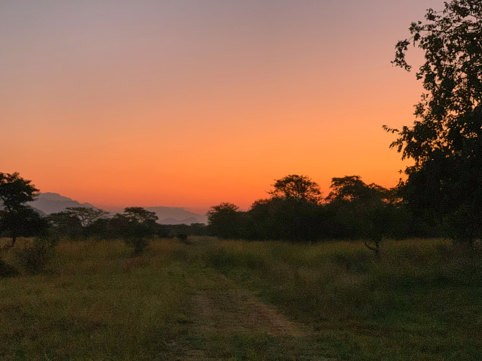 Sunset | suejay50 | Blipfoto