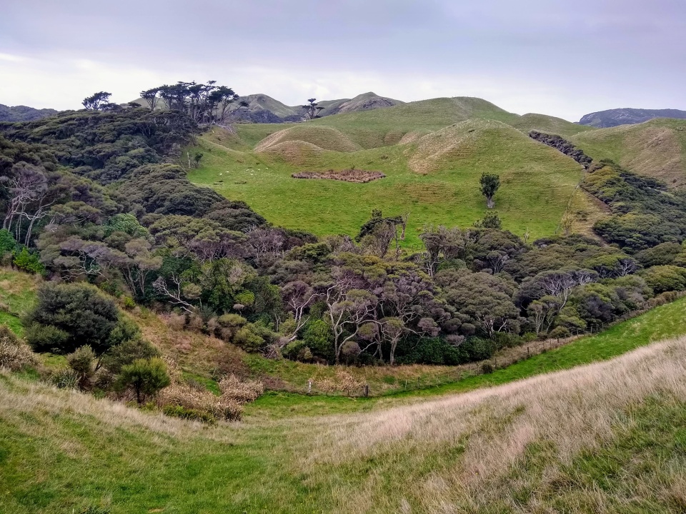 Curves & Hillocks | freespiral | Blipfoto