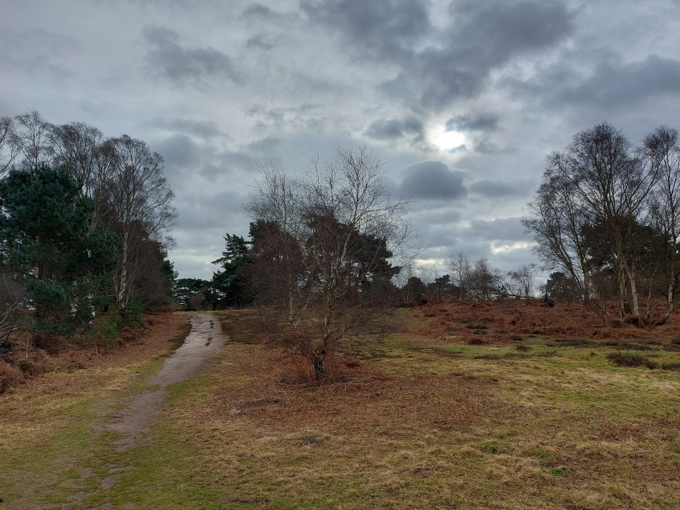 It was extremely windy as... | chrisA | Blipfoto