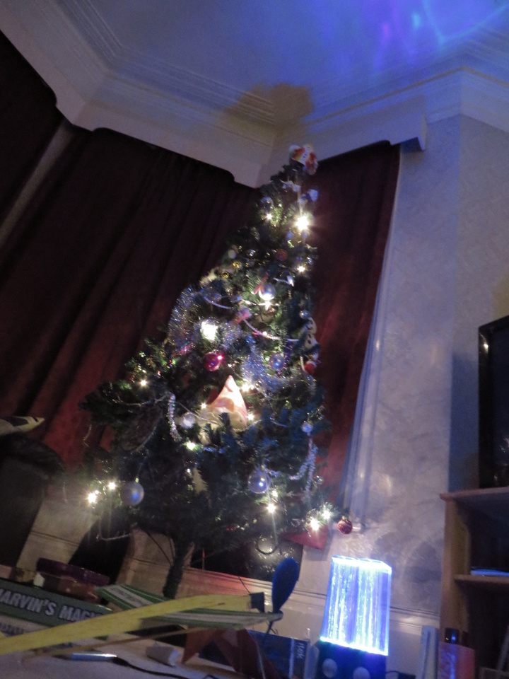 Christmas Tree and Water Speakers | Carol59 | Blipfoto