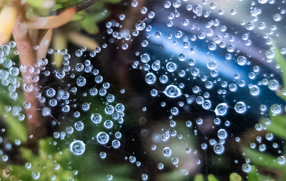 Mist Catcher | Kernow | Blipfoto
