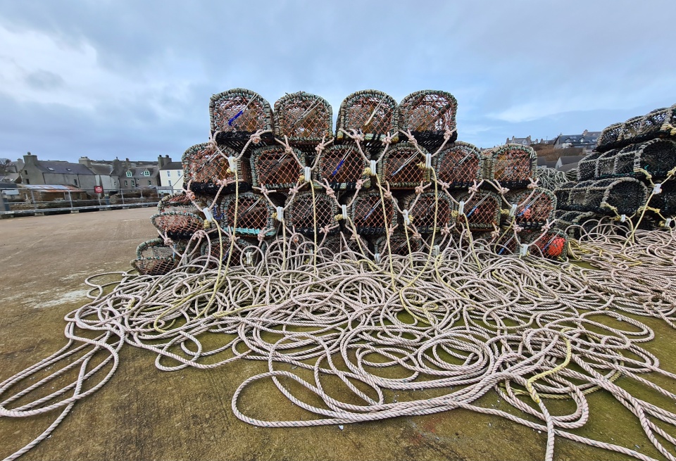 CREELS | EllyJay | Blipfoto