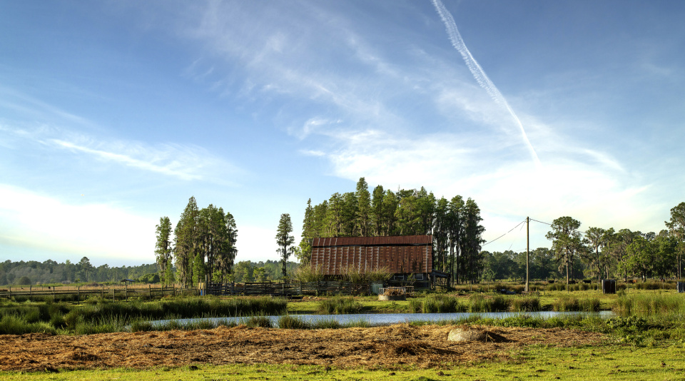 The Old Barn | bugsman | Blipfoto