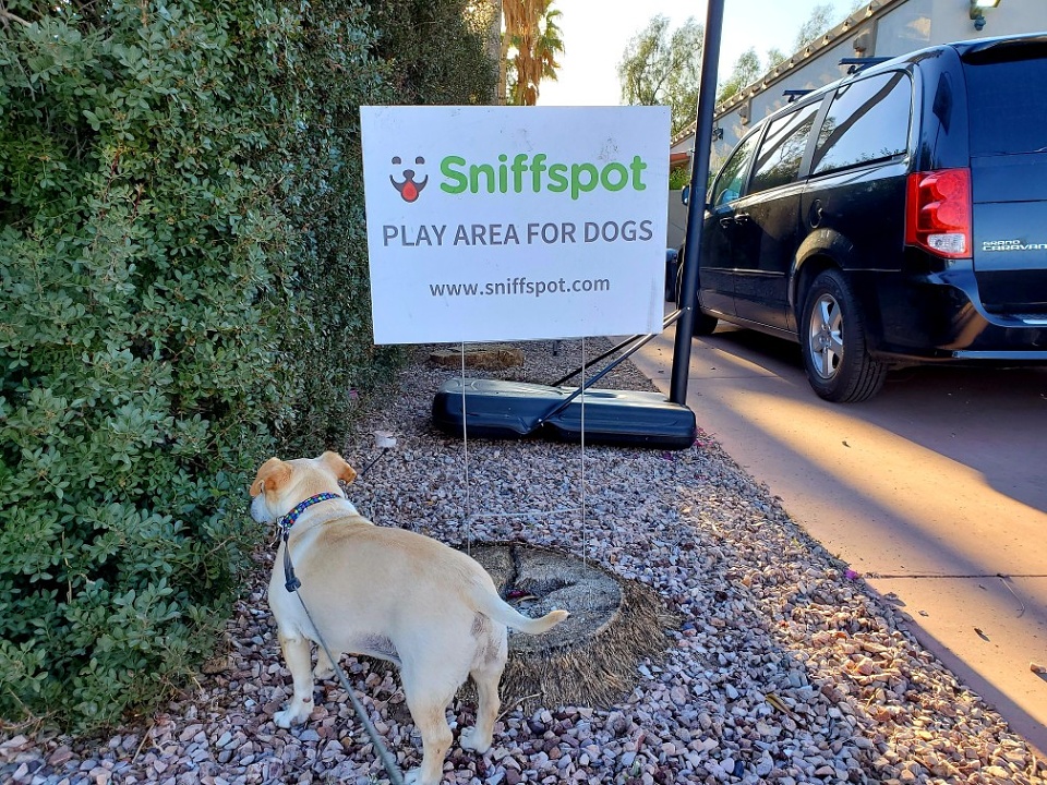 Sniffspot?? | Seelye | Blipfoto