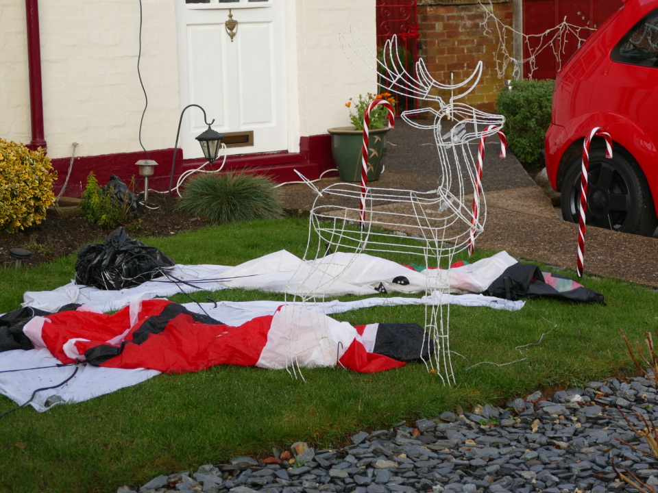 "We're feeling a bit deflated after Christmas" | NatureWatcher | Blipfoto