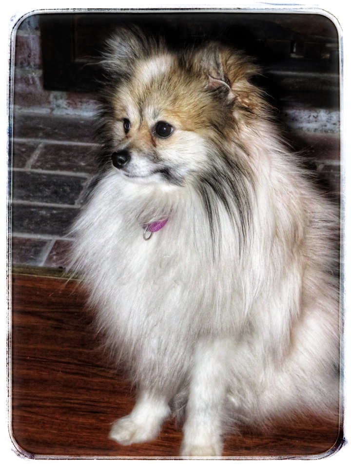 Miss Maybell | Memories4Me | Blipfoto