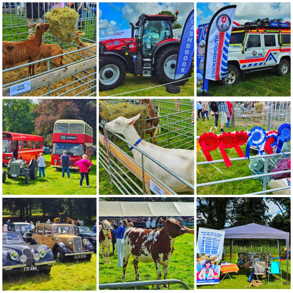Cockermouth Show | trevorearthy | Blipfoto