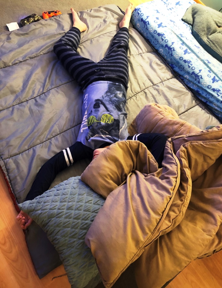 Attack Of The Brown Blanket | TurtleBug | Blipfoto