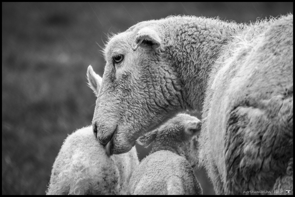 Step in ... | RobinDown | Blipfoto