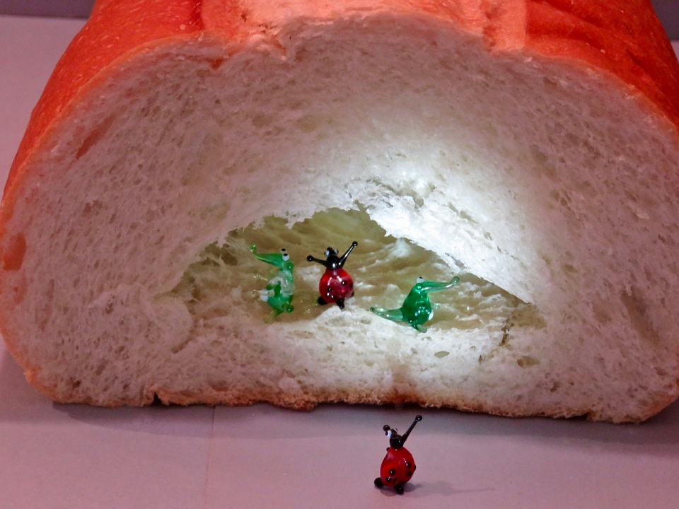 Exploring the Great Mammoth Bread Caves | GirlWithACamera | Blipfoto