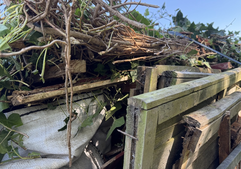 Old fence | Technophobe | Blipfoto