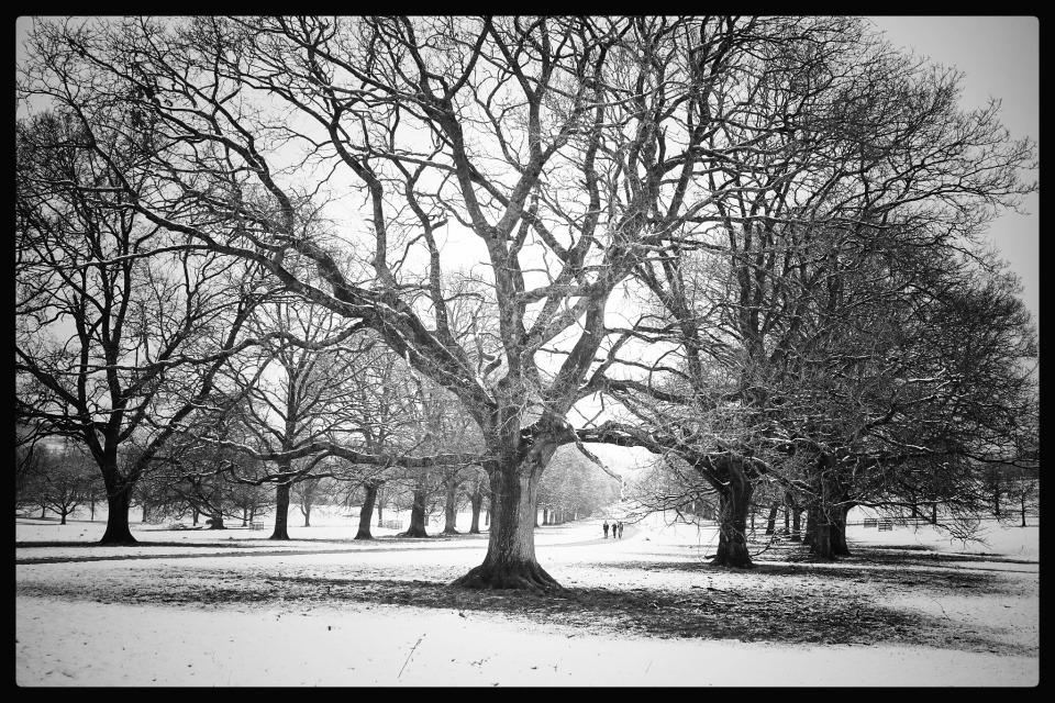 Snow At Lowther | Bimbo | Blipfoto