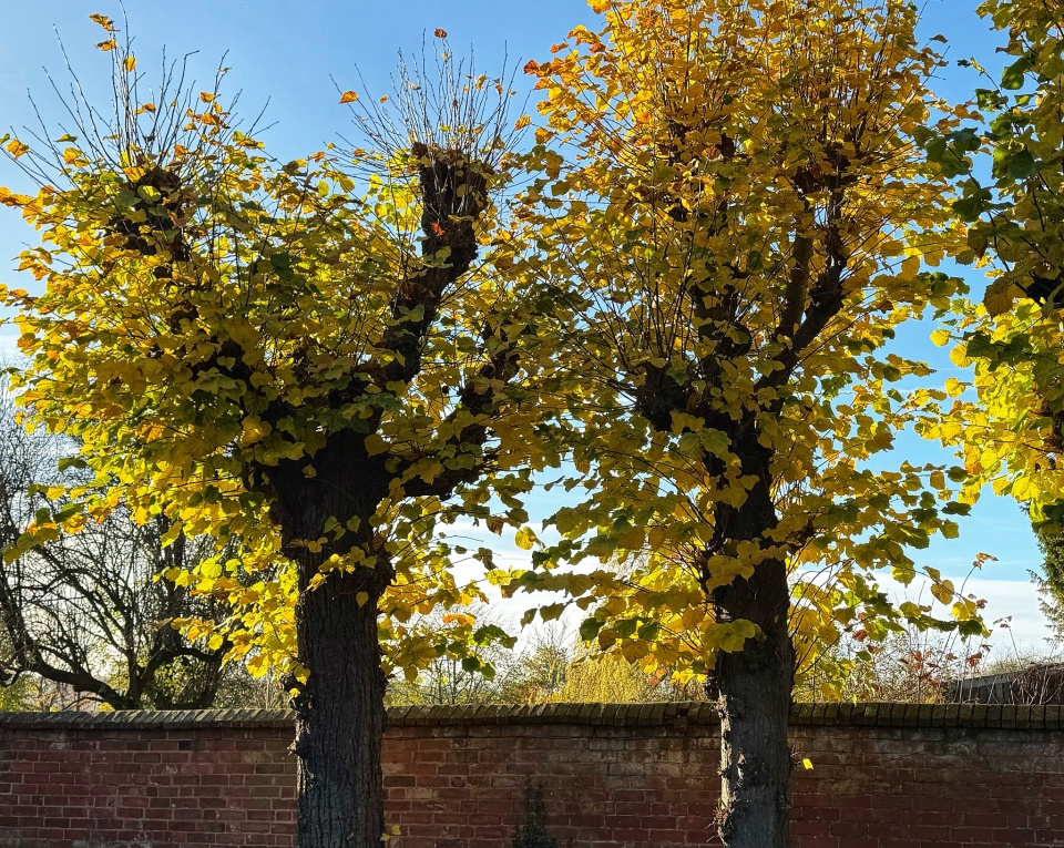 Sunshine | Technophobe | Blipfoto