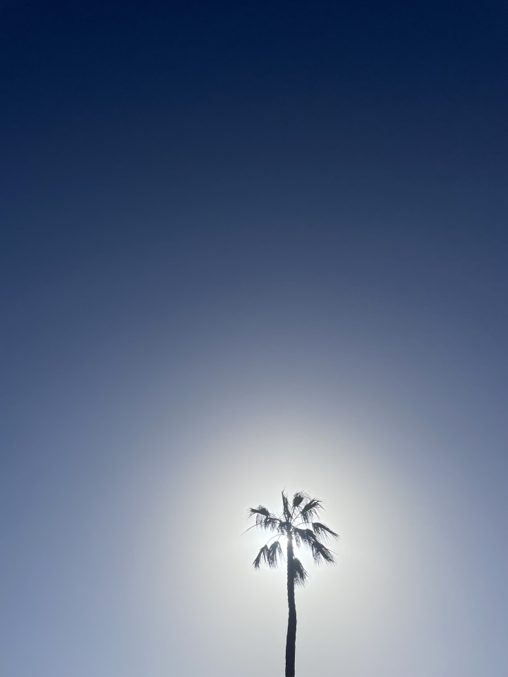 The Long Lie | Pensioner | Blipfoto