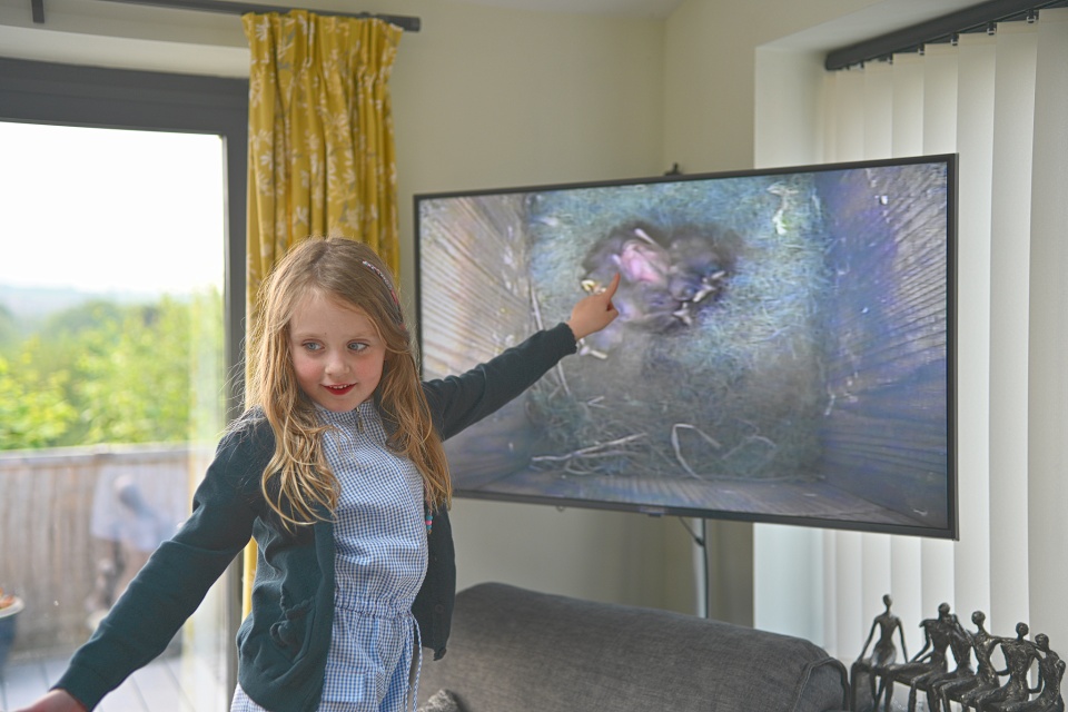 Hatched | BobsBlips | Blipfoto