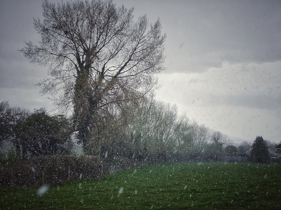 Snowing Again! | chantler63 | Blipfoto