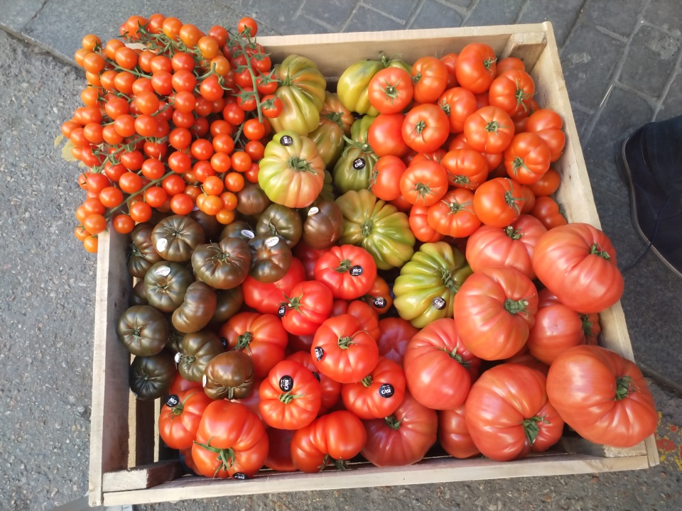 Which one do you prefer? | acula | Blipfoto