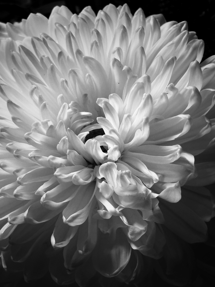 Whatever gets you through the night... | Damnonii | Blipfoto