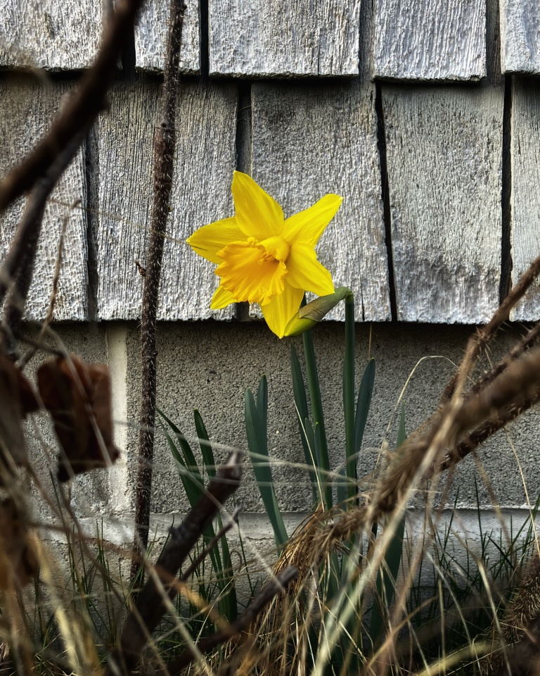 Back Again | madowoi | Blipfoto