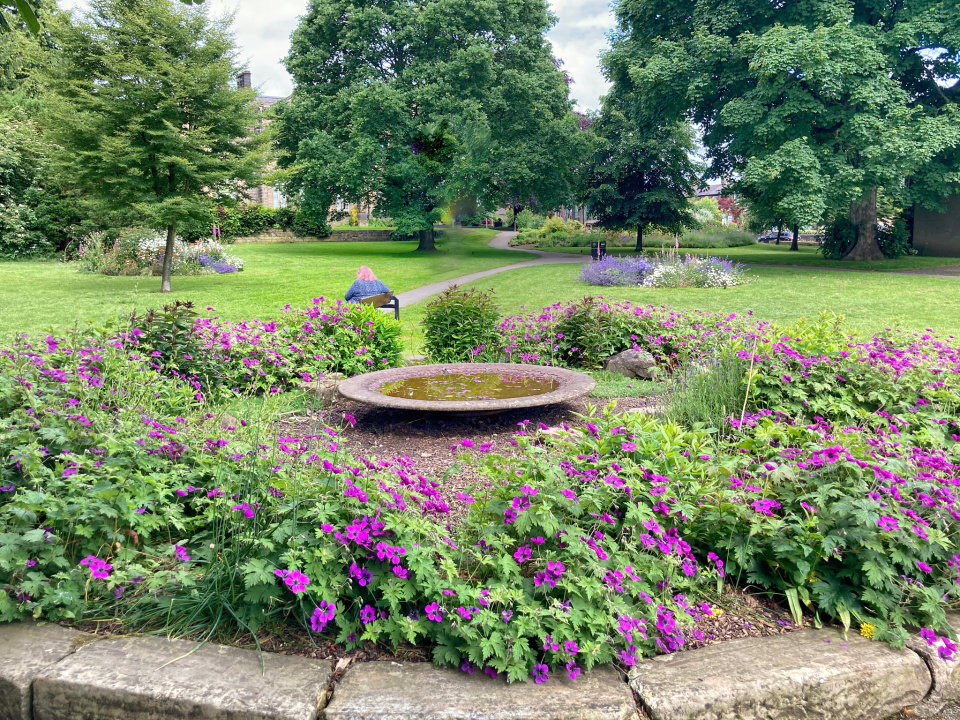 Sitting in the Park | mambo | Blipfoto