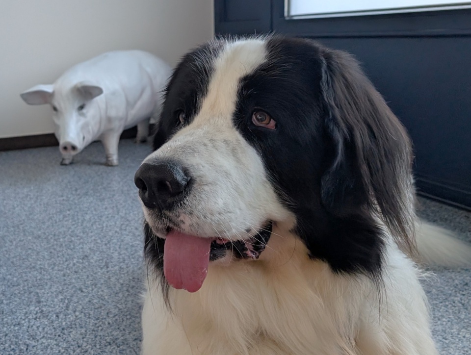 Waiting | Hanulli | Blipfoto