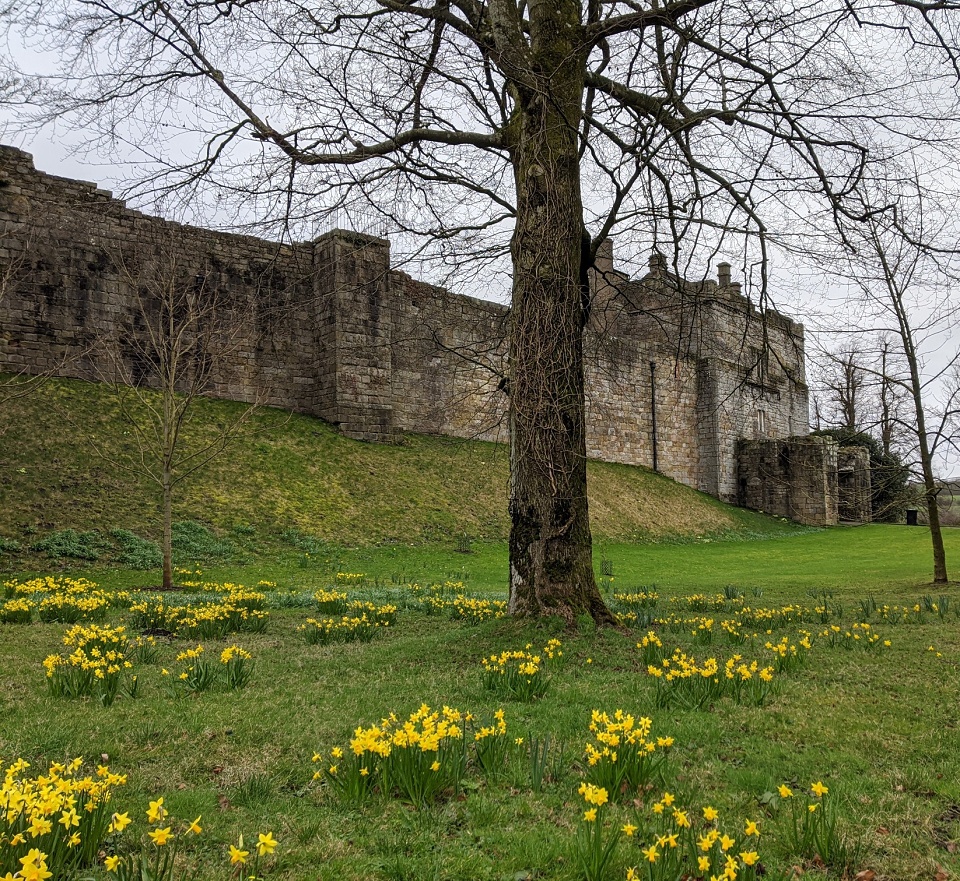 Cockermouth castle- a different view | biblinros | Blipfoto