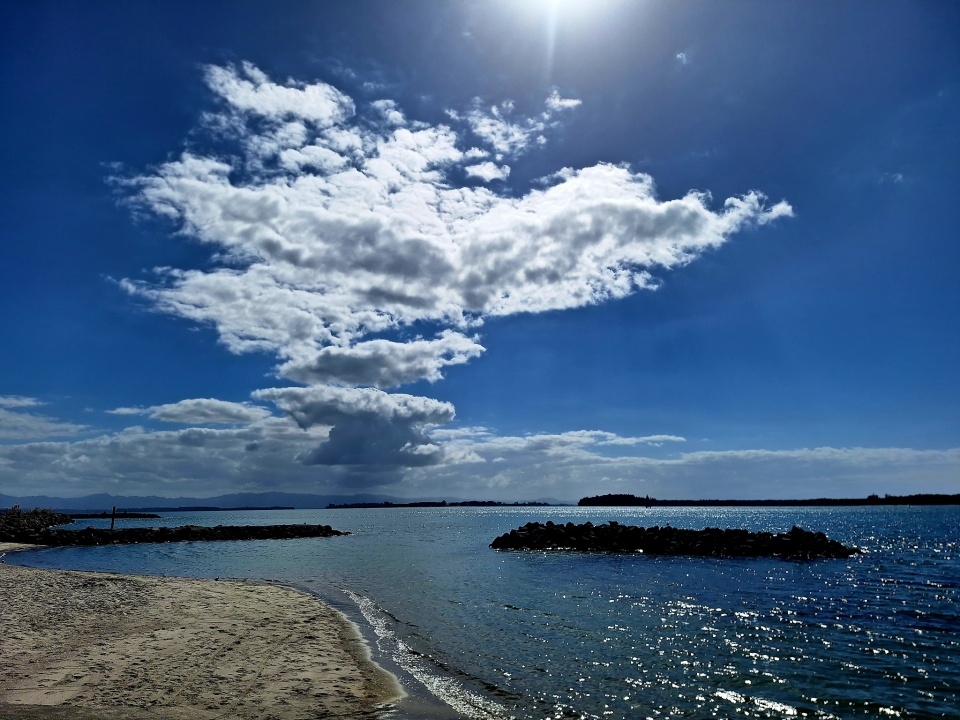 I see a bird...hopefully not a phoenix! | tokoroa | Blipfoto