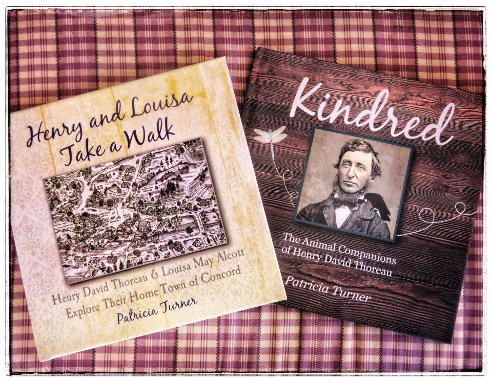 A Companion Book | Memories4Me | Blipfoto