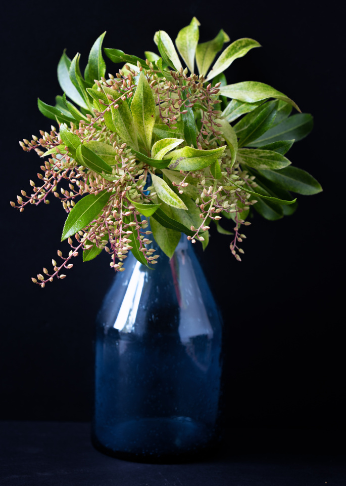 Blue bottle... | Damnonii | Blipfoto