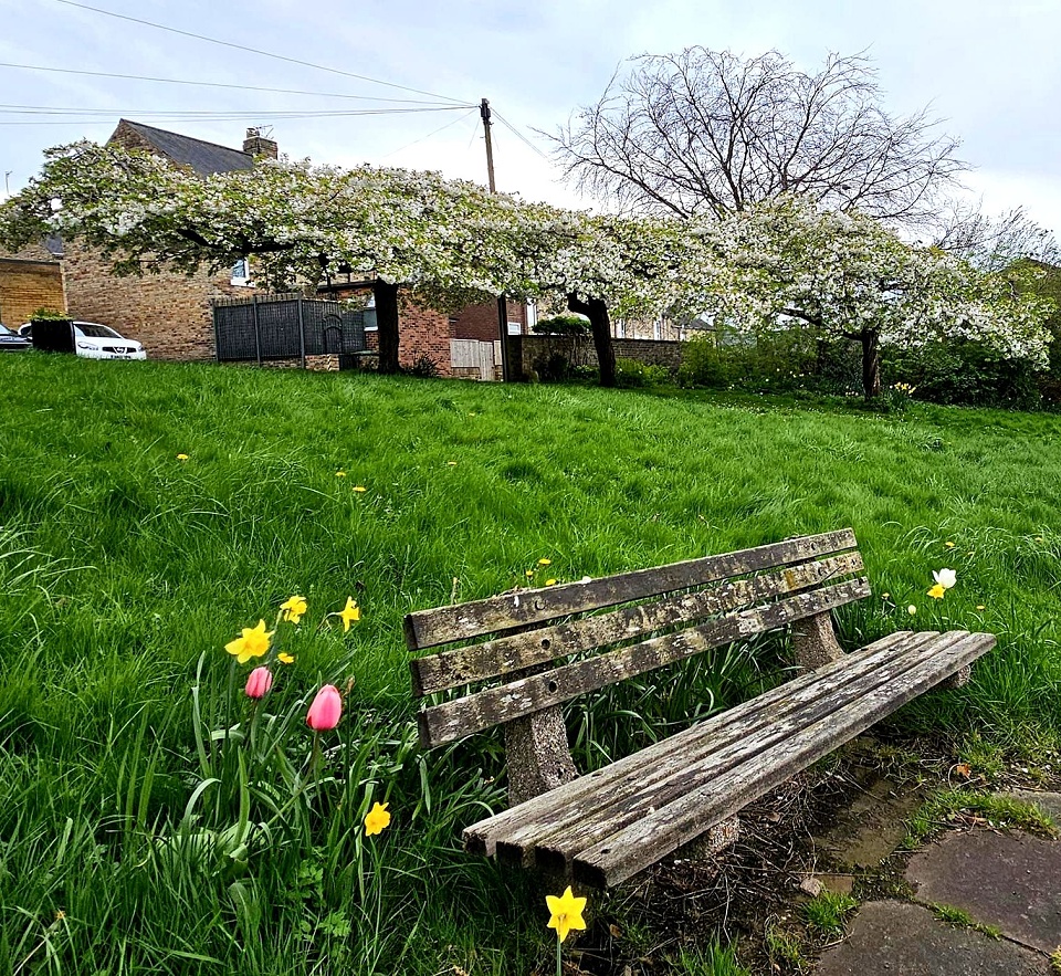 SIGNS OF SPRING | dollydoug | Blipfoto