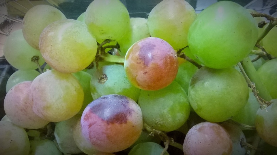 Mango grapes | FionaD | Blipfoto