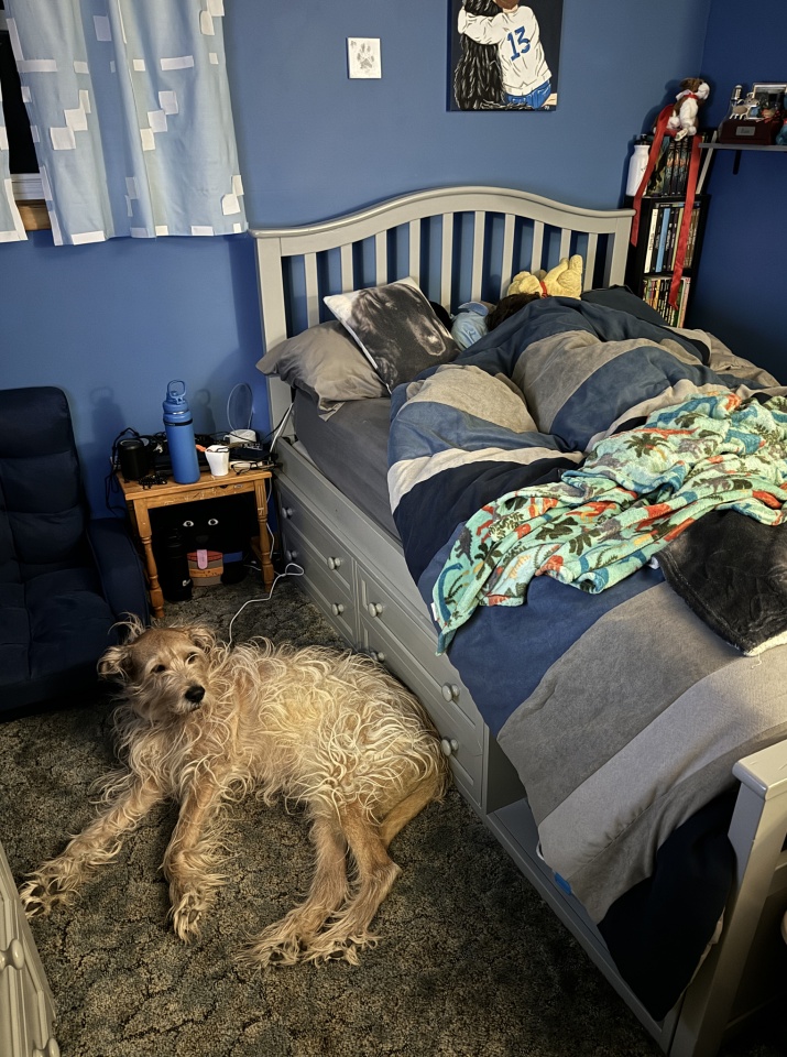 Grumpy Sleepers | TurtleBug | Blipfoto