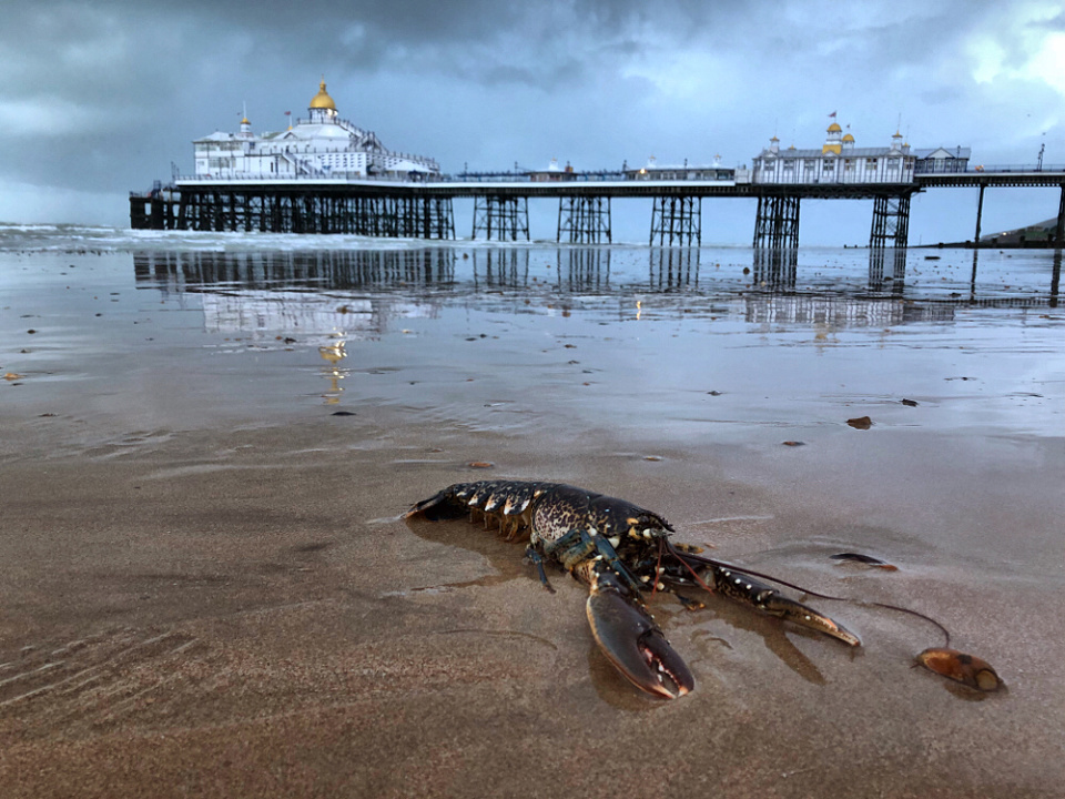 After the Storm | nigel_wiggins | Blipfoto